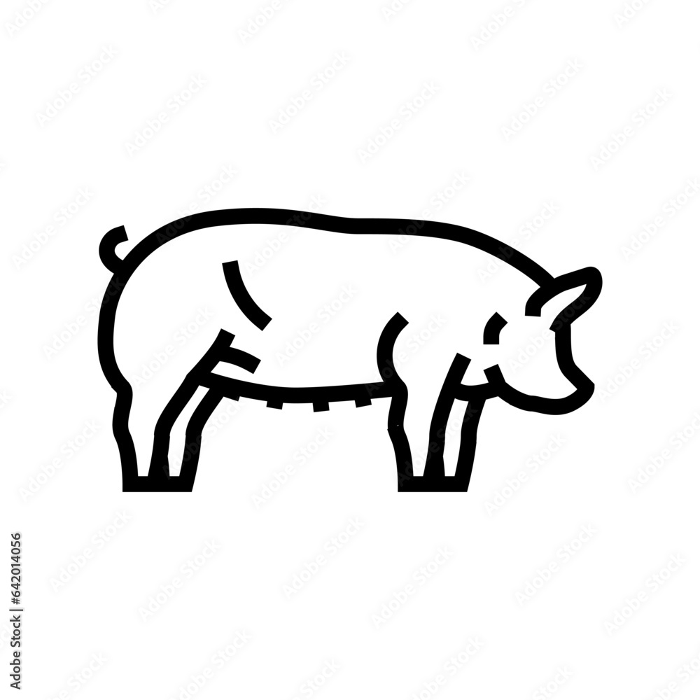 berkshire pig breed line icon vector. berkshire pig breed sign ...