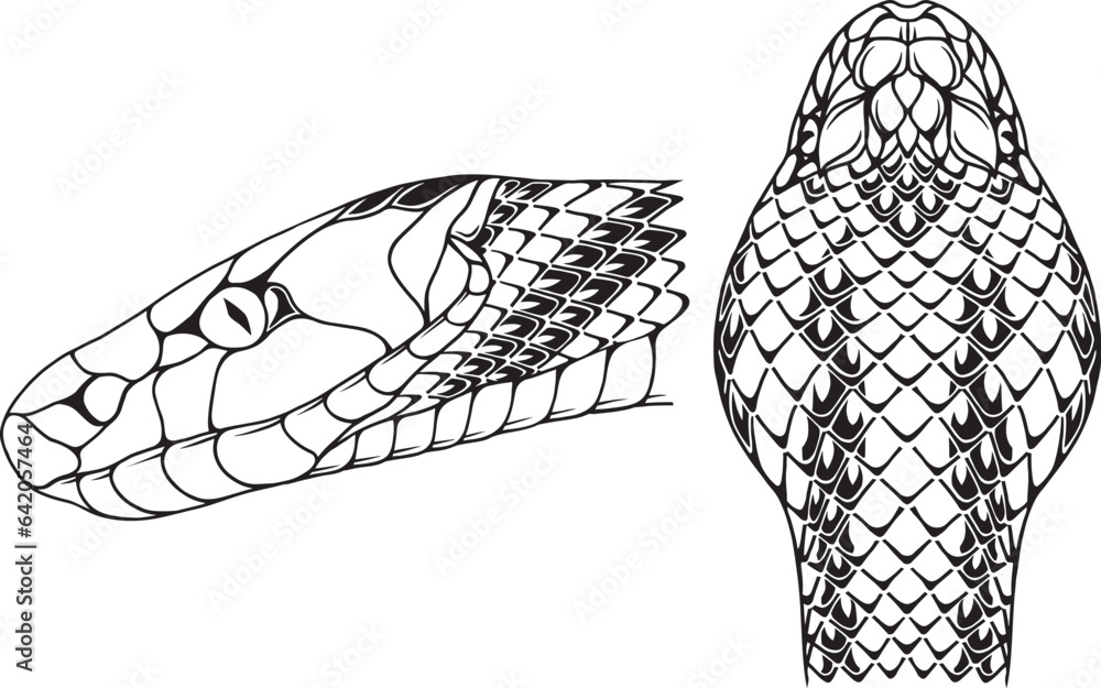 Stylized contour snakes. Line art, sketch style, tattoo, design ...