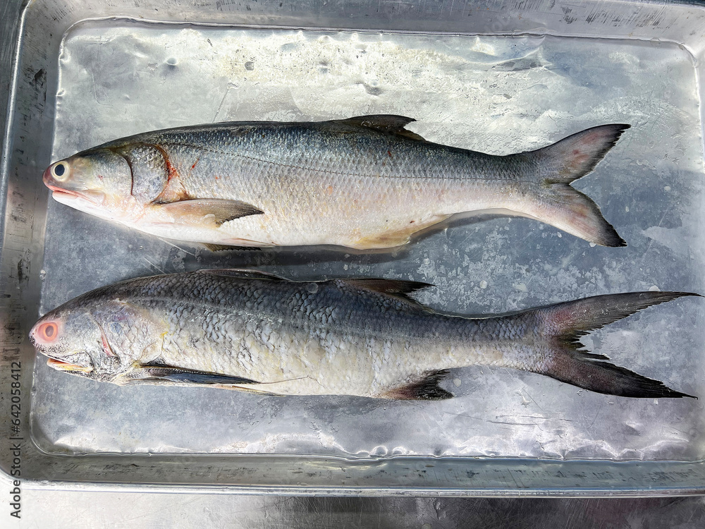 fresh raw cold seafood soon hock whole fish ikan head, fillet, meat ...