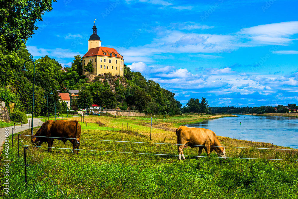 Schloss Hirschstein zwischen Torgau und Meißen in Neuhirschstein Stock Photo | Adobe Stock