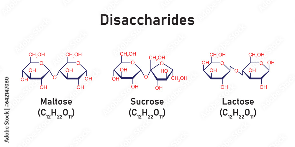 Disaccharides Types Concept Design. Vector Illustration. Stock Vector ...