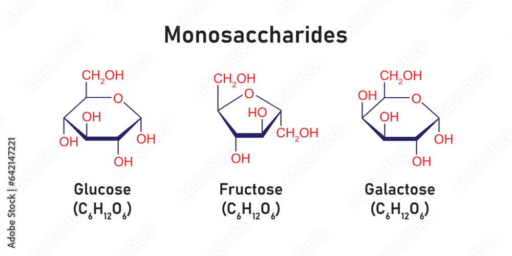Monosaccharides Types Concept Design Vector Illustration Stock Vector