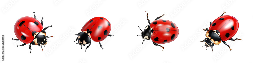 Ladybug clipart collection, vector, icons isolated on transparent ...