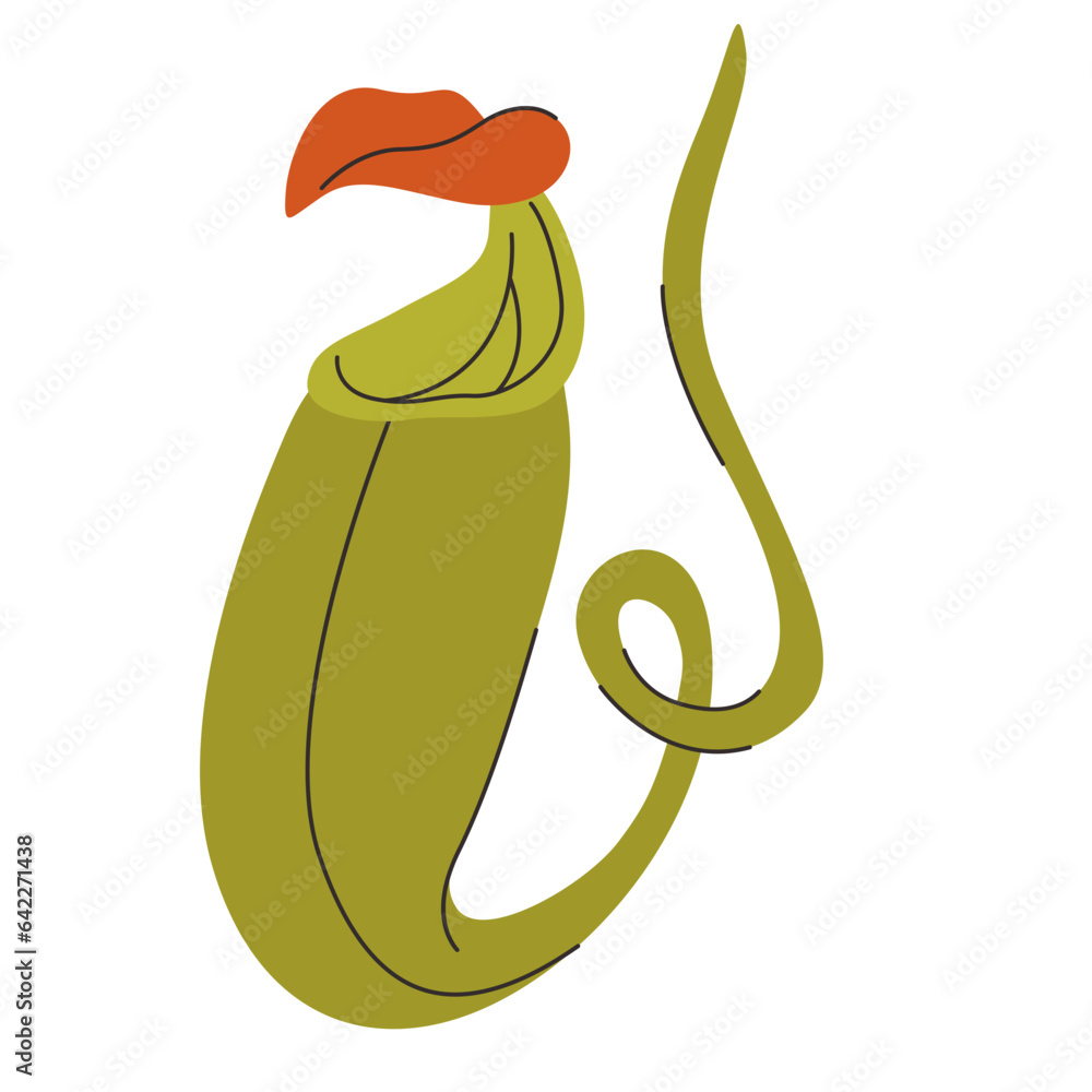 Tropical Pitcher Plant carnivorous plant vector illustration in ...