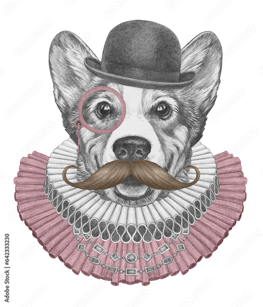 Portrat of Pembroke Welsh Corgi with Elizabethan Collar, Bowler Hat ...
