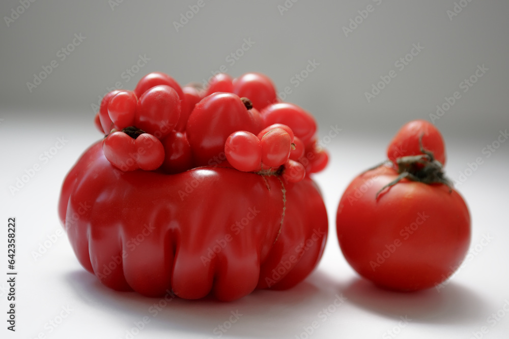 Mutant deformation of tomatoes, outgrowth on a fetus. Severely ...