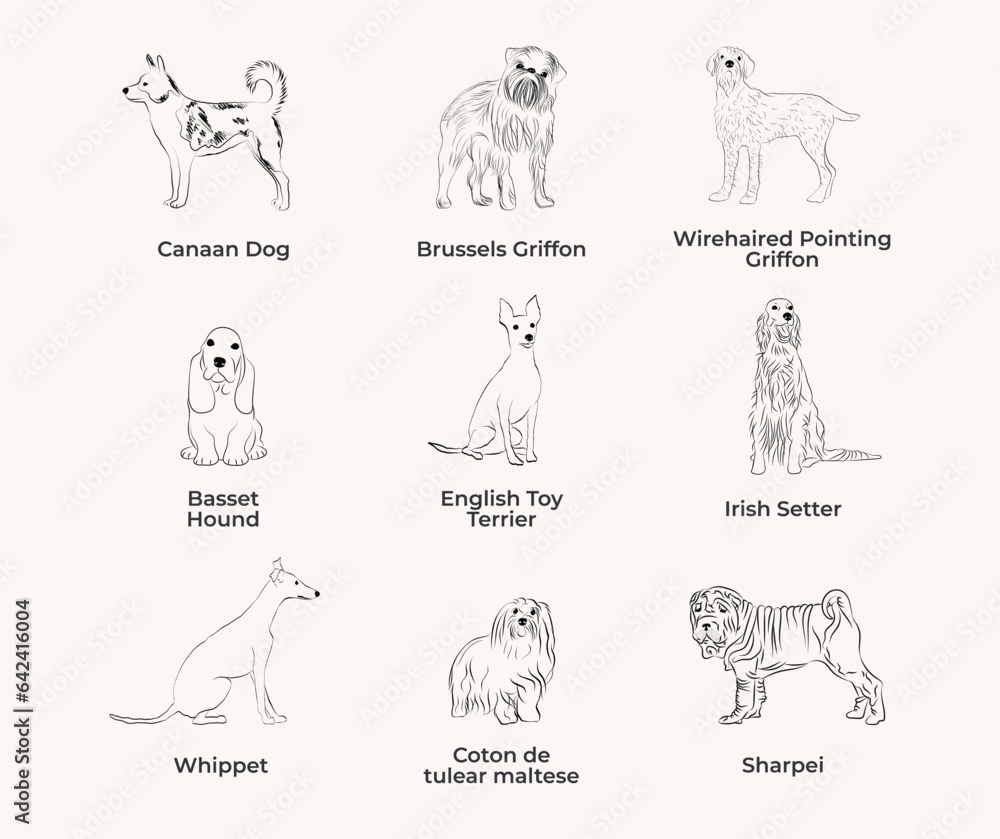 Dog Line Drawing, line art, one color, black and white, vector isolated ...