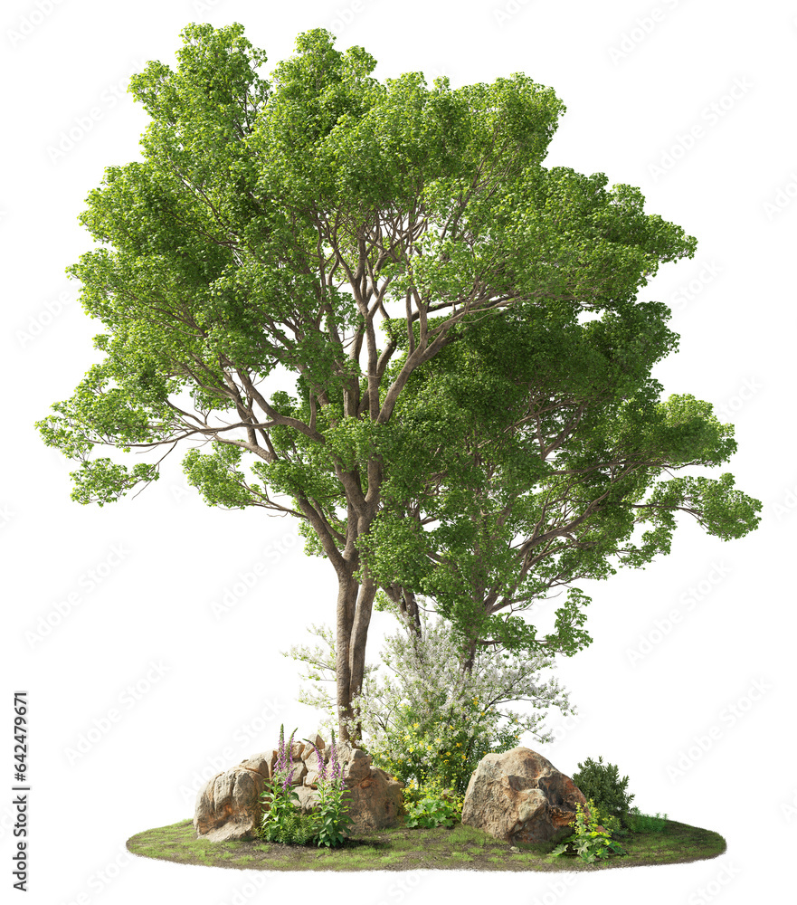 Group of trees among the rocks. Cutout trees isolated on transparent ...