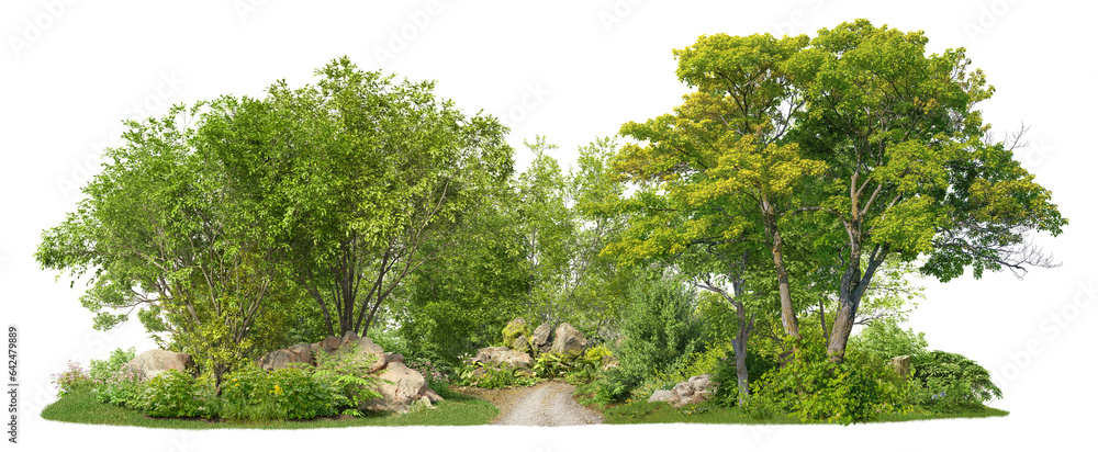 Coniferous forest pathway. Cutout trees isolated on transparent ...