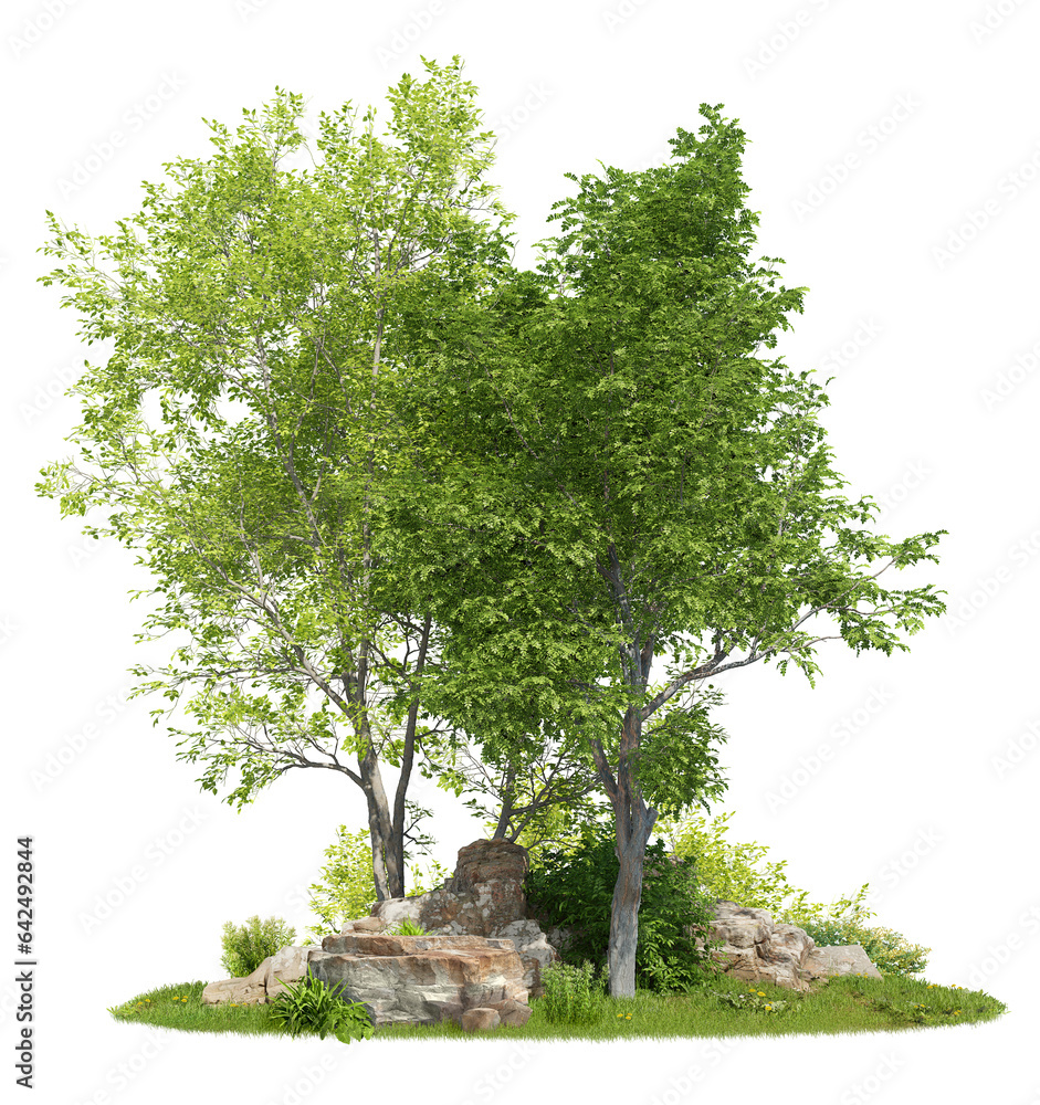 Group of trees among the rocks. Cutout trees isolated on transparent ...