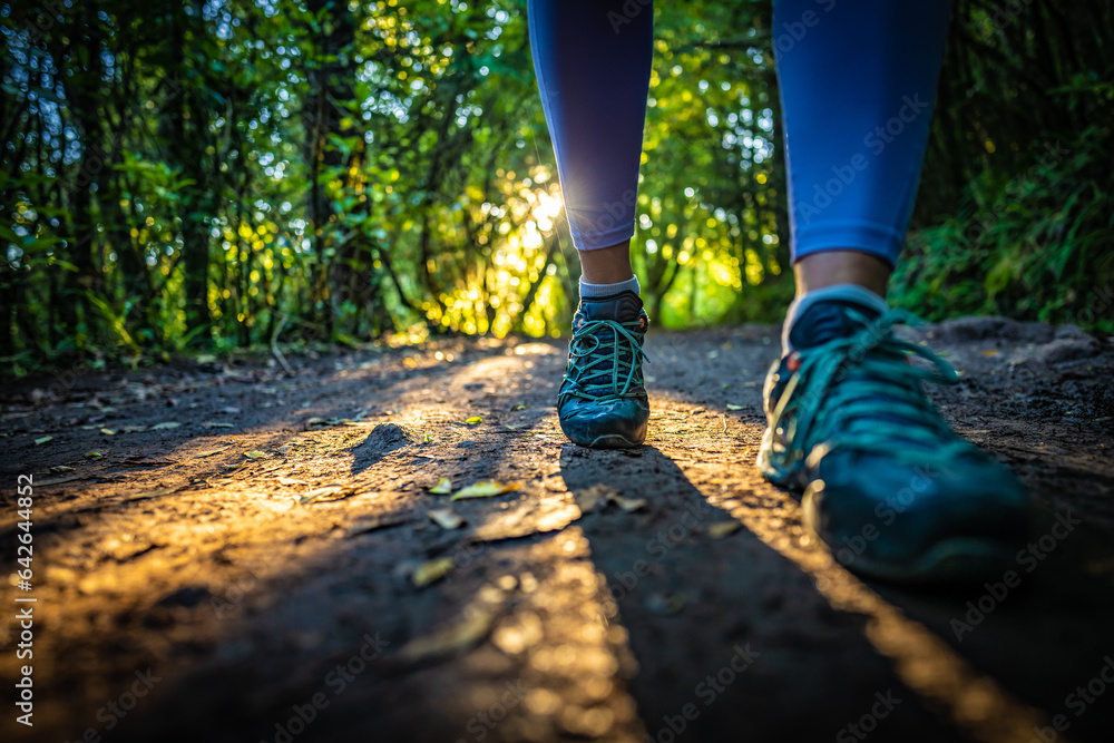 Legs of female toursit enjoys walking along sunny hike trail through ...