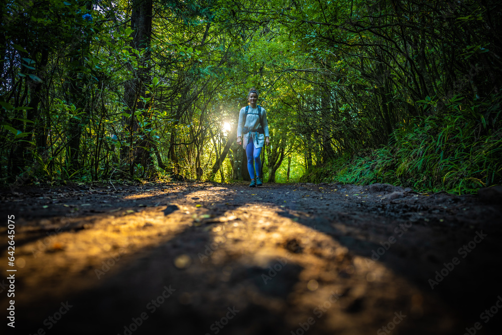 Female toursit enjoys walking along sunny hike trail through madeiran ...