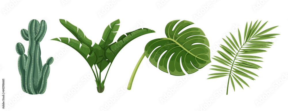Leaf of tropics plants set vector illustration. Cartoon isolated green ...