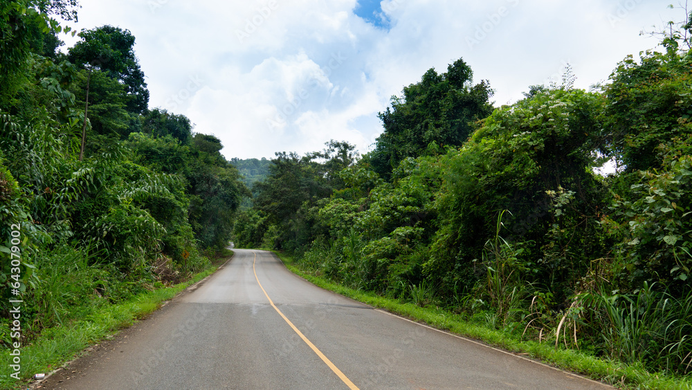 Vertical path of asphalt road and curve ahead. Two beside with green ...