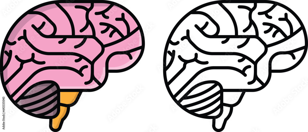 Brain illustration. Simple human anatomy brain graphic. Stock Vector ...