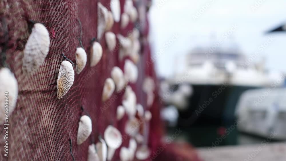 Beautiful selective focused sea shell decoration blowing by the wind ...