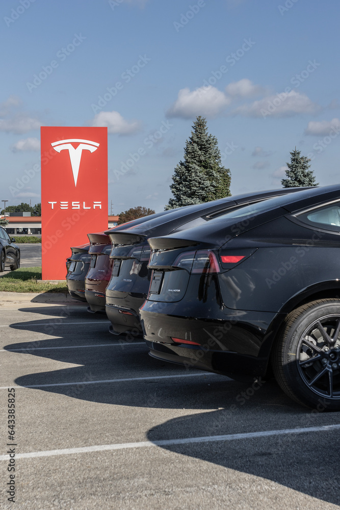 Tesla EV electric vehicles on display. Tesla models include the Model 3 ...