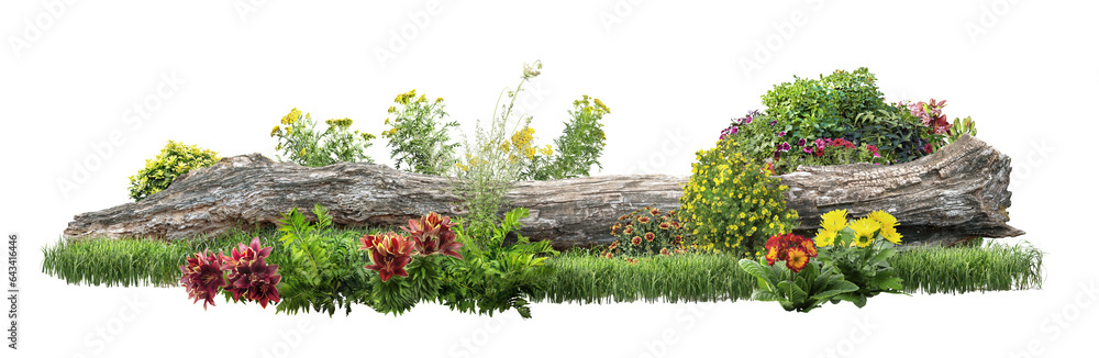 Dead tree fallen and lying on the ground. Cutout tree trunk surrounded ...