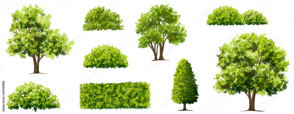 Vector of green grass or shrub isolated on white background,tree ...