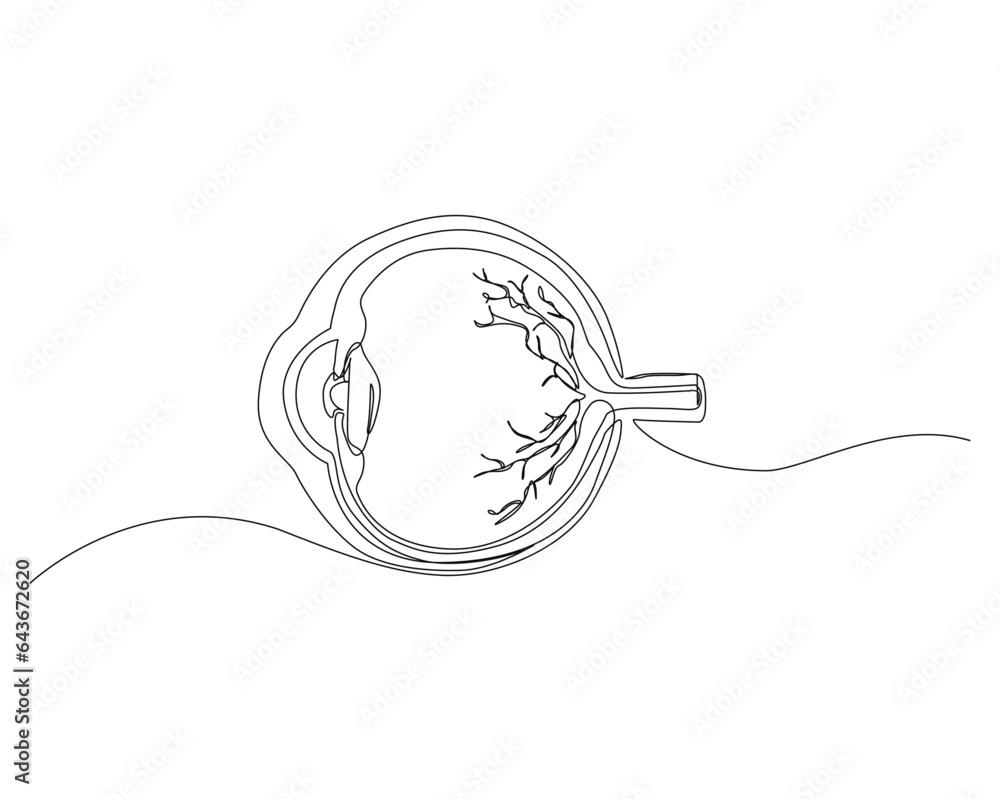 Vecteur Stock Continuous one line drawing of human eye retina. Human ...