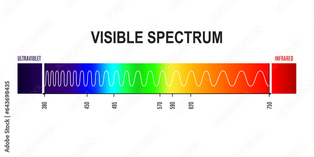 Wavelength, visible light spectrum wave from ultraviolet to infrared ...