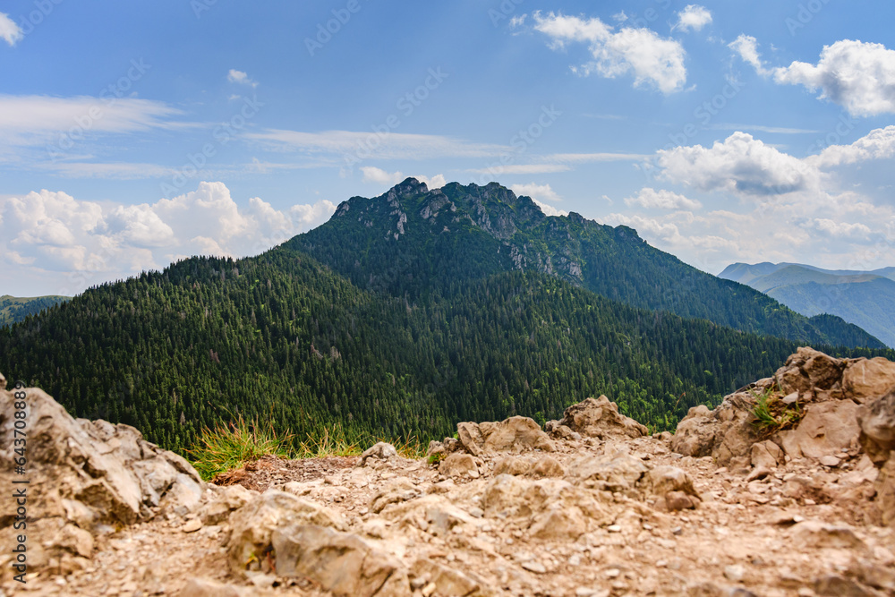 Mala Fatra National Park, view from the peak of Kis-Rozsutec, Maly ...
