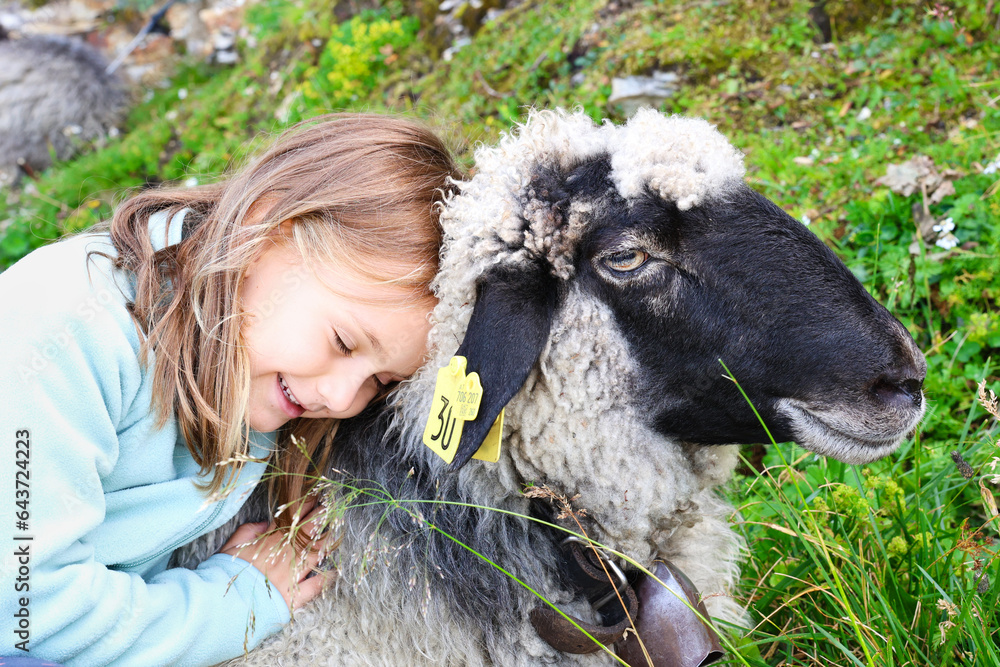 happy smiling child girl hugging sheep at farm, children love play ...