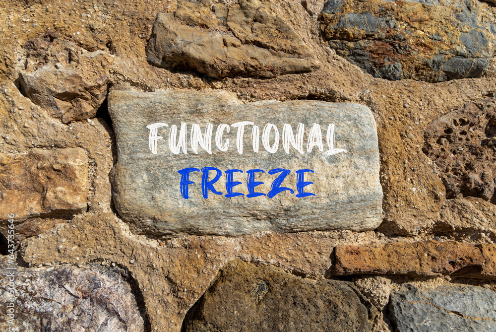 Functional freeze symbol. Concept words Functional freeze on beautiful ...