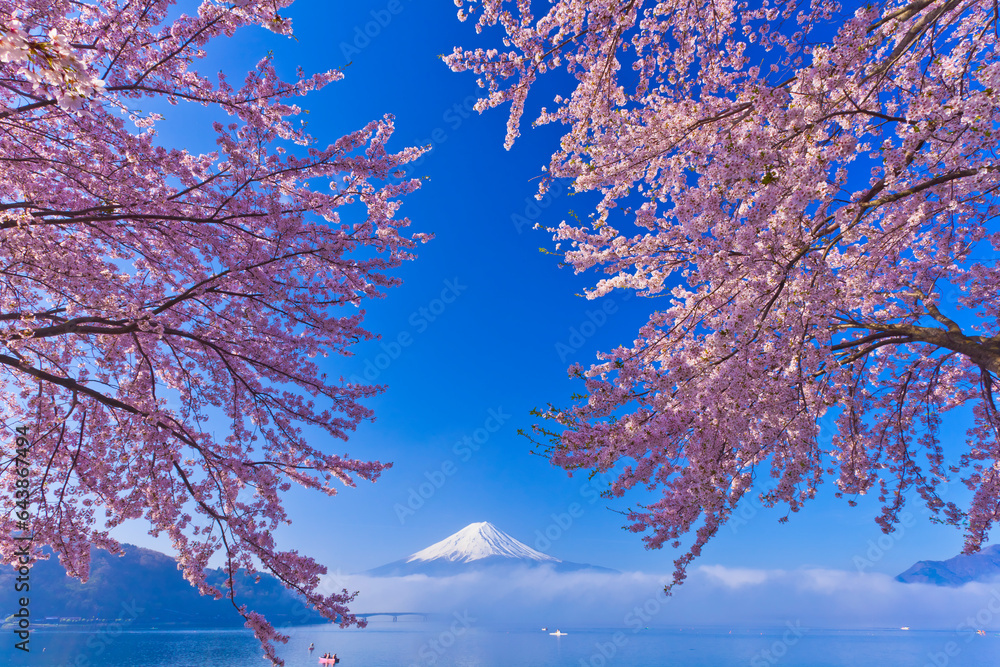 Fuji and cherry blossom from kawaguchi lake, Japan,Yamanashi Prefecture ...
