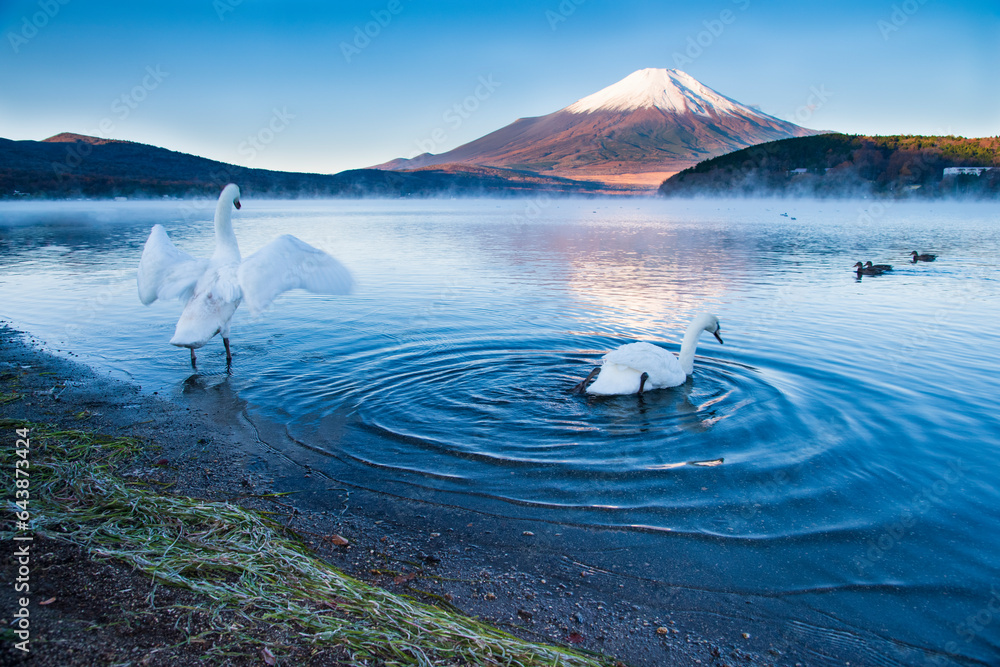 Mount Fuji, Japan,Yamanashi Prefecture,Yamanakako, Yamanashi Stock ...