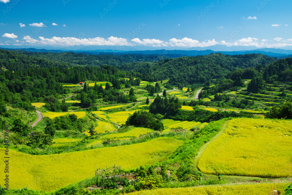 Rice terraces of Hoshitoge, Japan,Niigata Prefecture,Tokamachi, Niigata ...