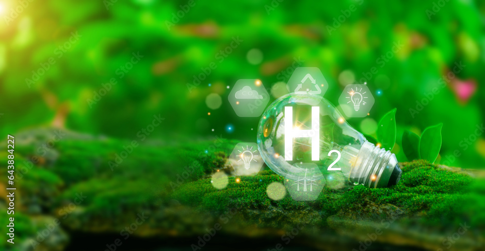 H2 hydrogen innovation concept. H2 symbol on green moss Zero emissions ...