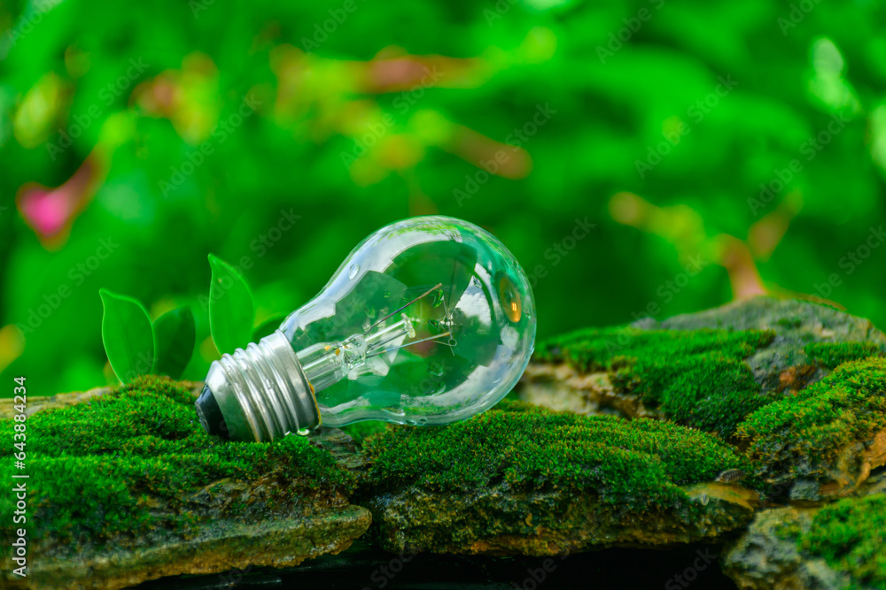 Environmental concept and energy saving. Light bulb with green ...