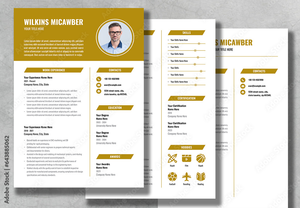 Modern Resume Design Stock Template | Adobe Stock