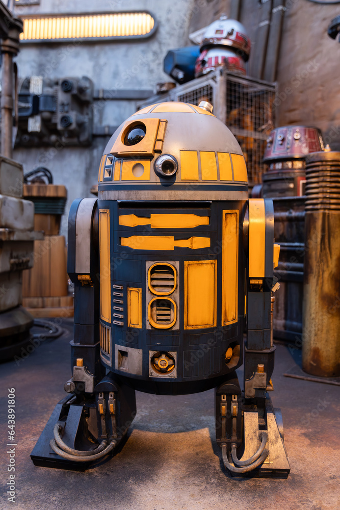 Droids at Disney's Star Wars: Galaxy's Edge Theme Park at Walt Disney ...