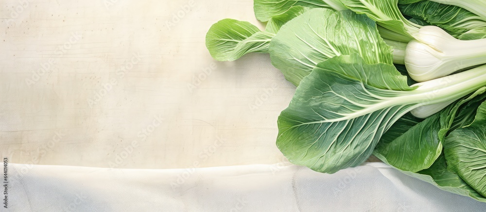 Bok choy or pak choi on isolated pastel background Copy space en ...
