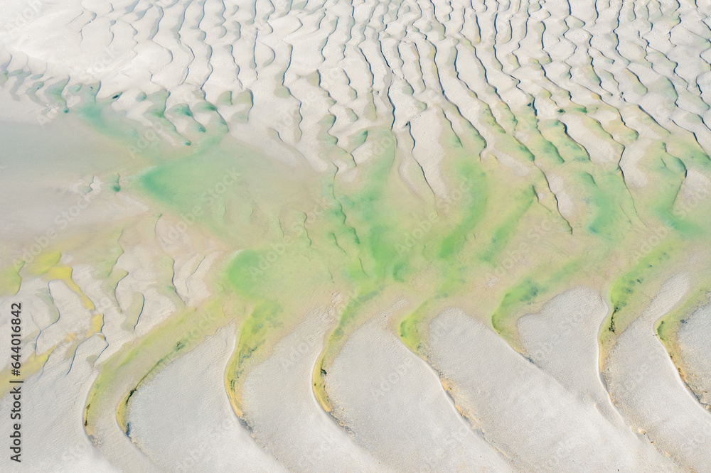 Des micros algues qui se développent avec la lumière du soleil dans les ...