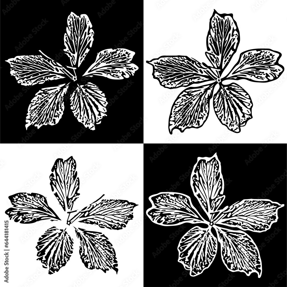 Vector illustration of textured flowers in black and white, positive ...