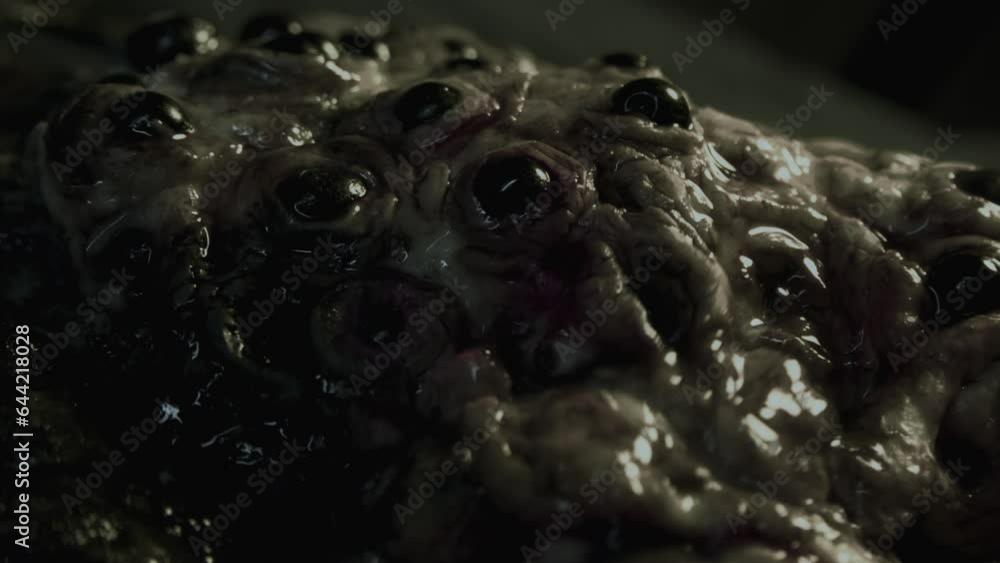 Close-up of disgusting crawling alien creature with many eyes. Sci-fi ...