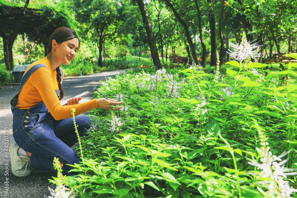 Beautiful Asian young woman, natural botanist student, plant researcher ...
