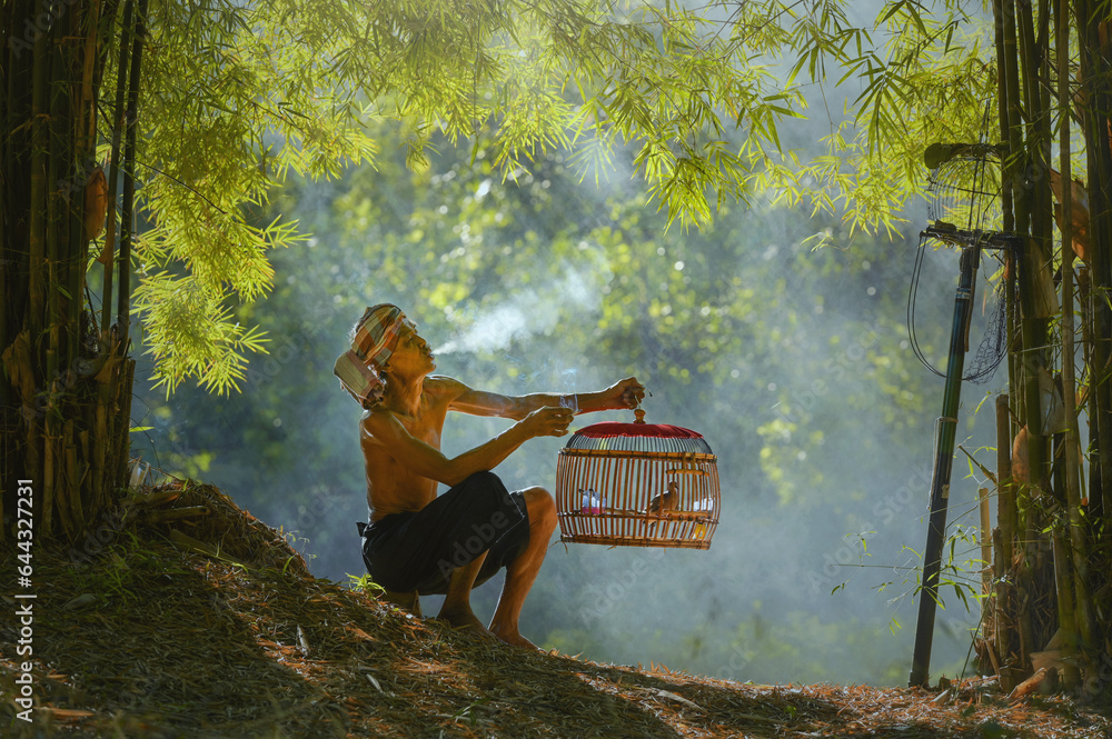 Traditional method of rice planting, farmers planted seedlings in green ...