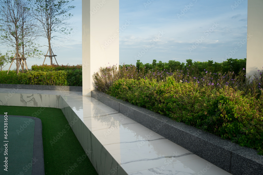 Ornamental plant are pruning. Tree trimming on row in the boundary ...