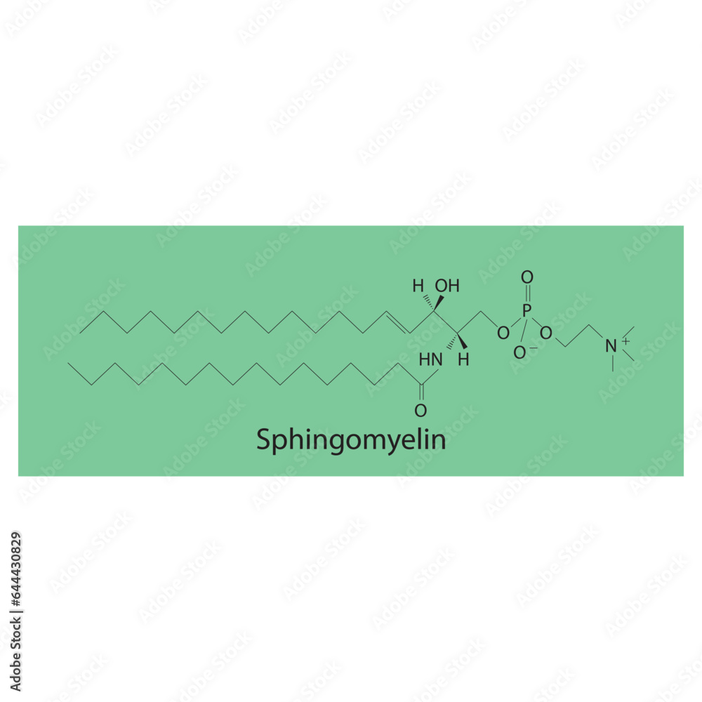 Structure of Sphingomyelin biomolecule, skeletal structure diagram on ...