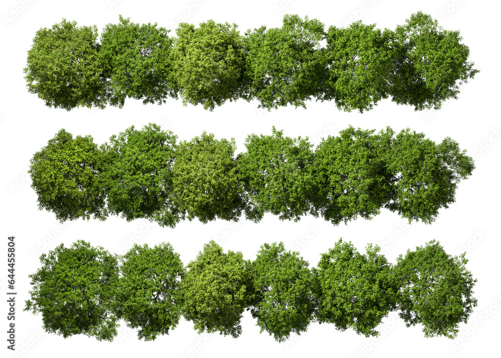 Top view greenery forest trees lined cut out transparent backgrounds 3d ...
