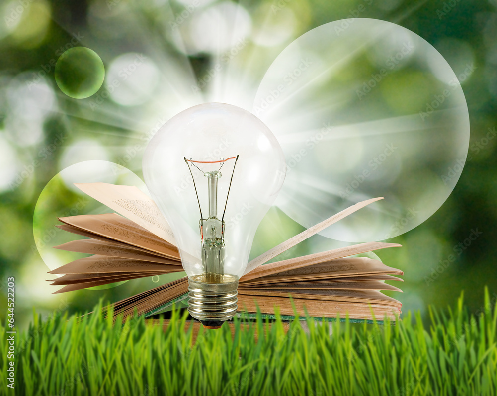 light bulb over an open book is a symbol of the concept of knowledge ...