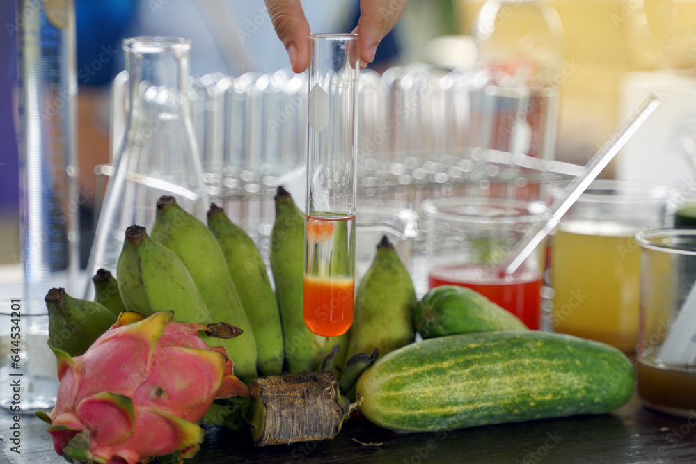 The experiment of extracting DNA from fruits and vegetables serves as a ...