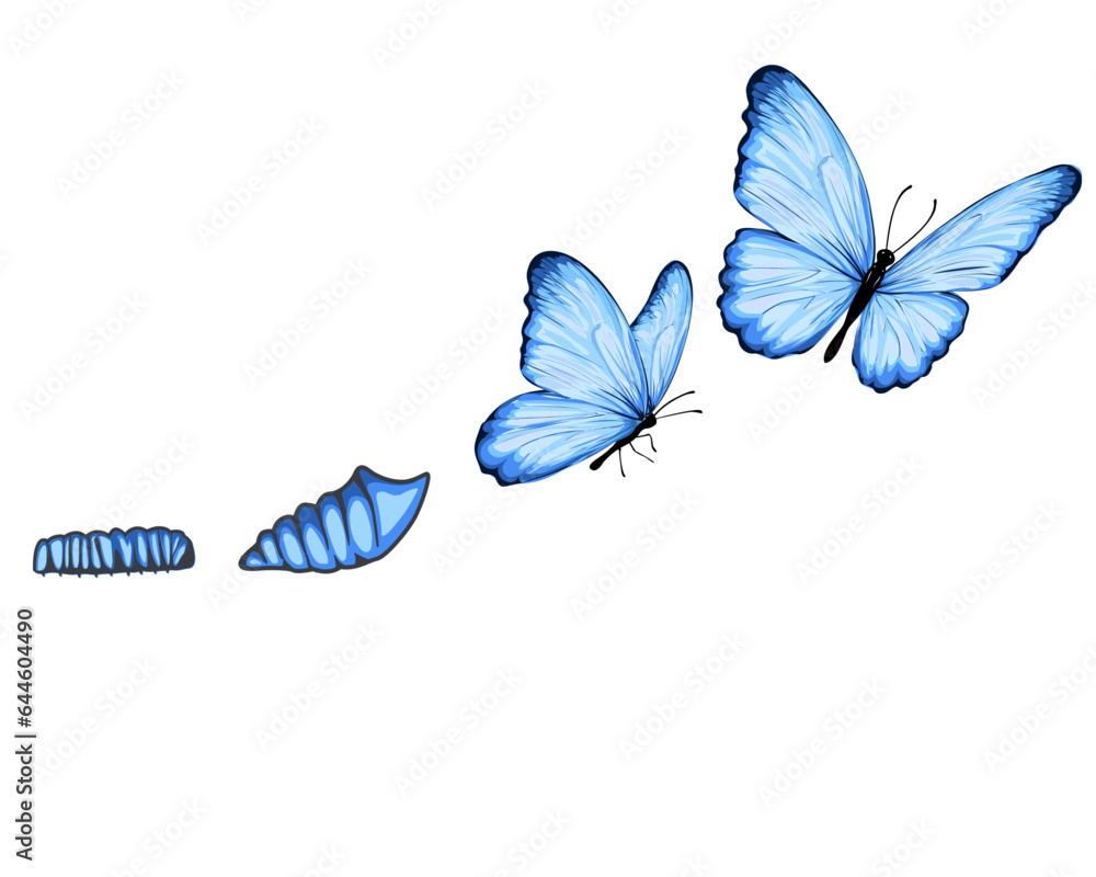 Vektorová grafika „blue butterfly isolated on white Butterfly ...