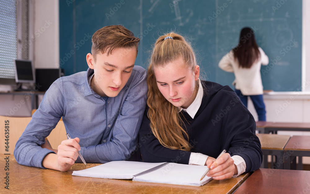 Intelligent teenager helping girl classmate prepare for exam ...