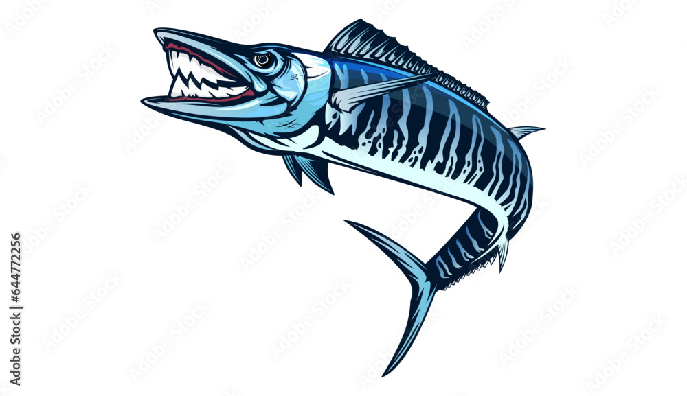 Vector Illustration of a wahoo. Acanthocybium solandri. A scombrid fish ...
