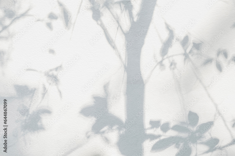 Tree shadow and light of leaf branch background. Nature leaves tropical ...